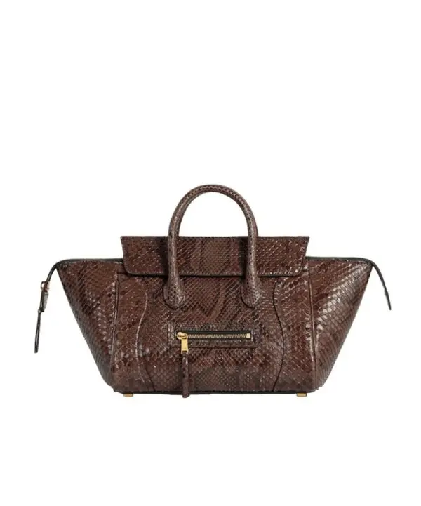 Celine Little Luggage In Python