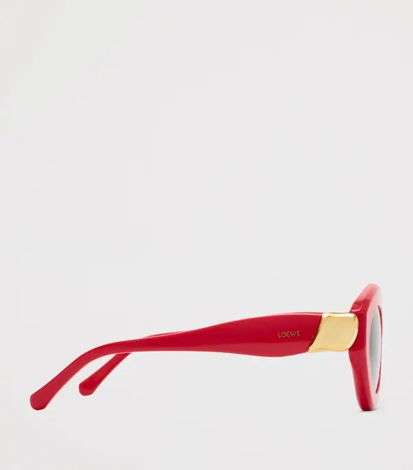 Loewe Acetate Coil Cat Eye Sunglasses