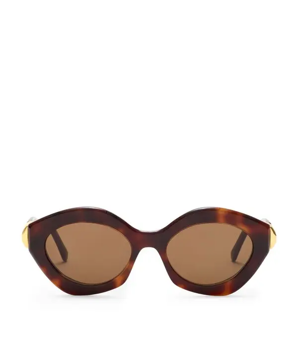 Loewe Acetate Coil Cat Eye Sunglasses - Brown