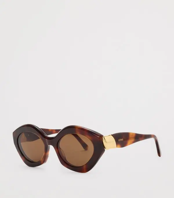 Loewe Acetate Coil Cat Eye Sunglasses