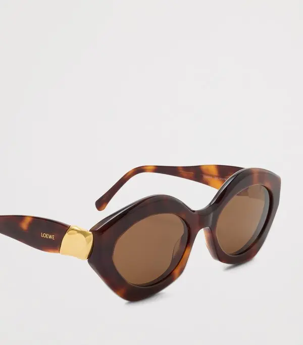 Loewe Acetate Coil Cat Eye Sunglasses