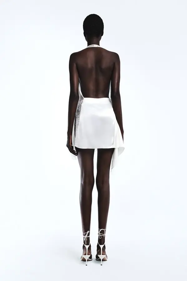 Revolve Gaspard Mini Dress
