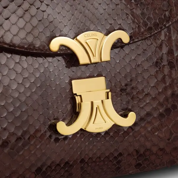 Celine Teen Nino Bag In Python