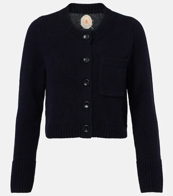 Jardin Des Orangers Wool & Cashmere Cardigan - Blue