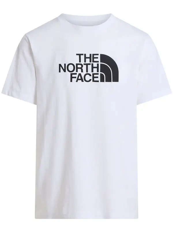 The North Face Evvolution Half Dome Reg T-shirt