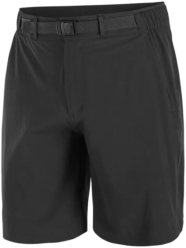 SALOMON Wayfarer 2.0 Shorts - Black