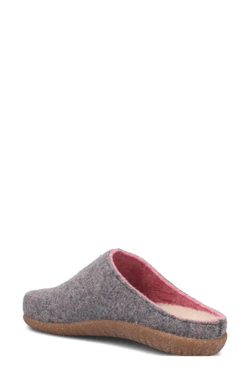 TAOS Wool Clogs