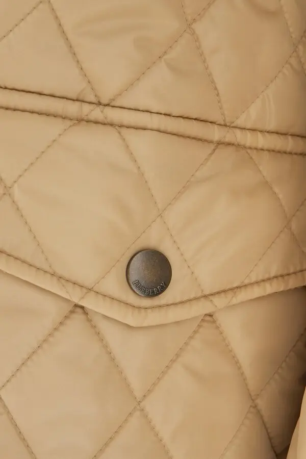 Burberry Clothing Jackets
