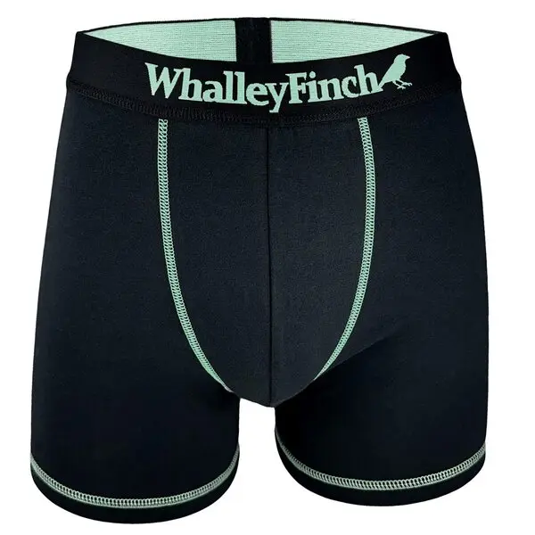 WHALLEY FINCH Everyday Vibe & Mint Boxer Brief - Black