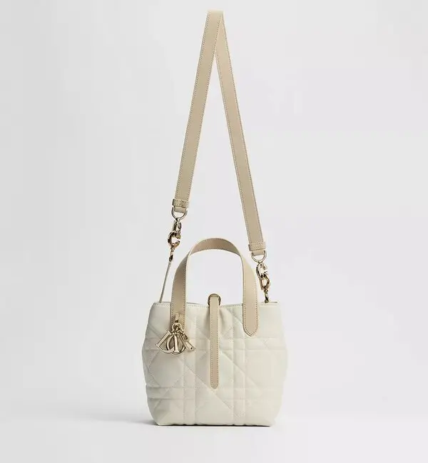 Dior Small Toujours Vertical Tote Bag