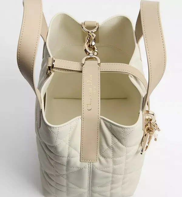 Dior Small Toujours Vertical Tote Bag