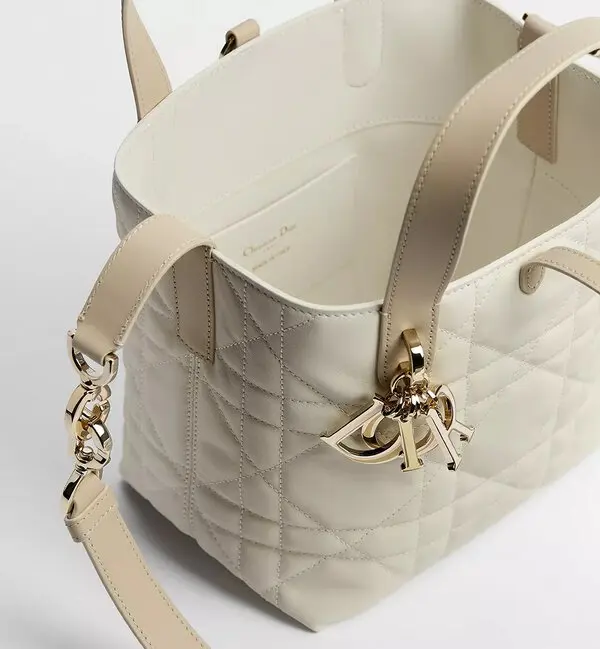 Dior Small Toujours Vertical Tote Bag