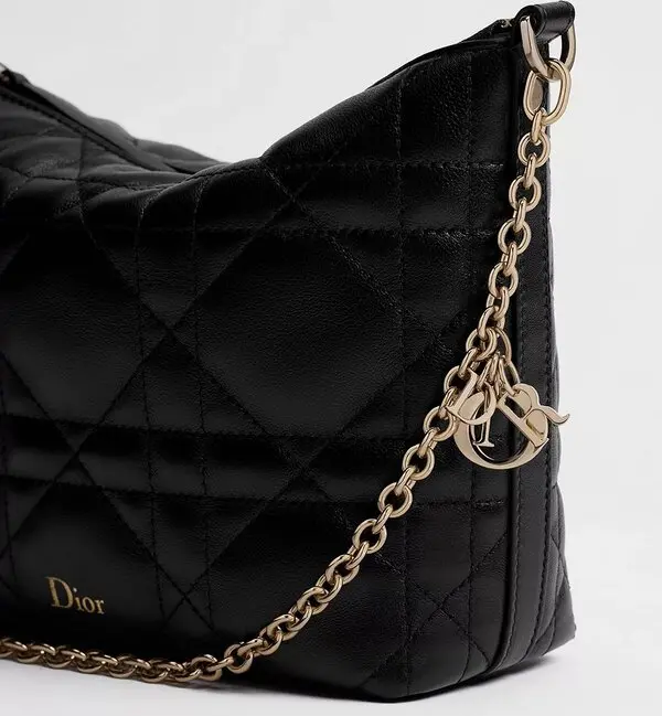 Dior Diorling Mini Bag