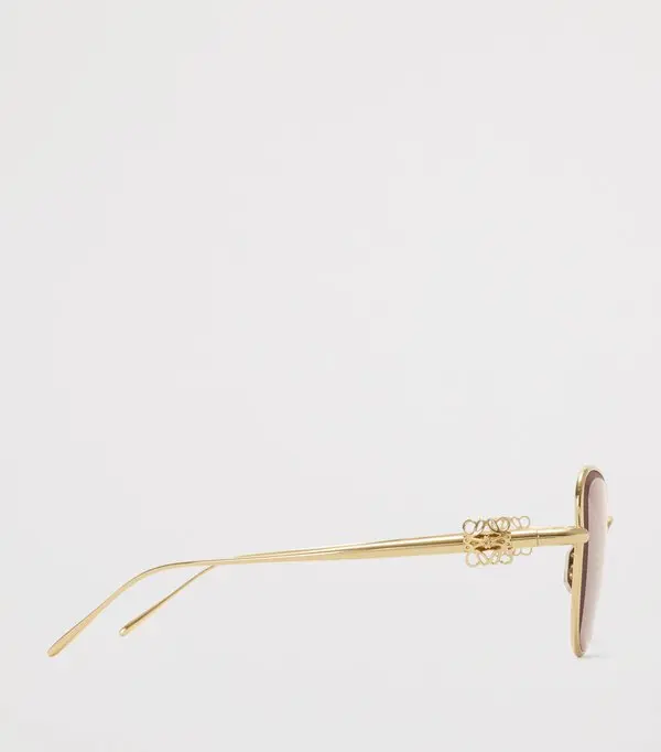 Loewe Bombé Butterfly Sunglasses
