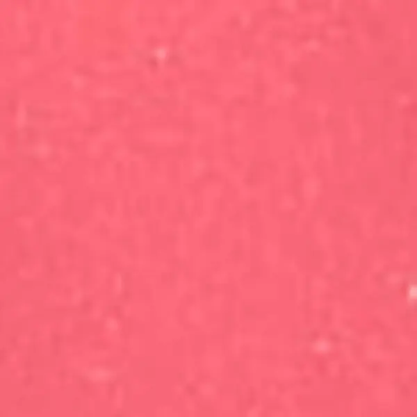CHANTECAILLE Lip Chic