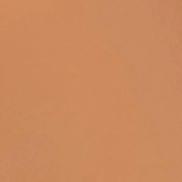 CHANTECAILLE Just Skin Tinted Moisturiser Spf 15