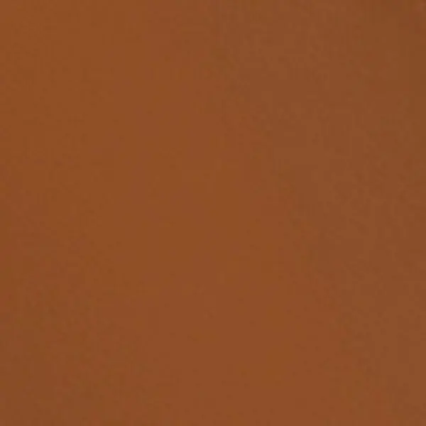 CHANTECAILLE Just Skin Tinted Moisturiser Spf 15