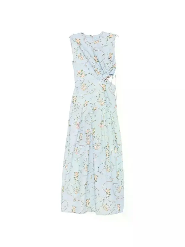 Agua Bendita Otono Floral-print Cut-out Maxi Dress - Blue