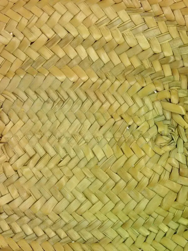 Loewe Basket Raffia Medium Tote Bag