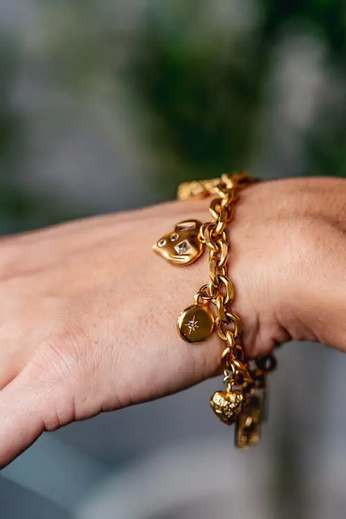 LONI PAUL JEWELRY Plated Charm Bracelet With Pave Clasp