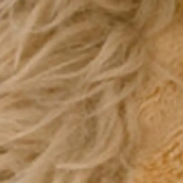 HAPPY HORSE Hedwig Hedgehog