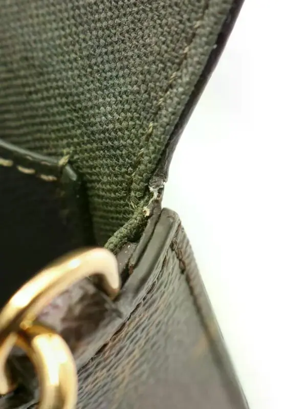 LOUIS VUITTON 2021 Felicie Monogram Shoulder Bag