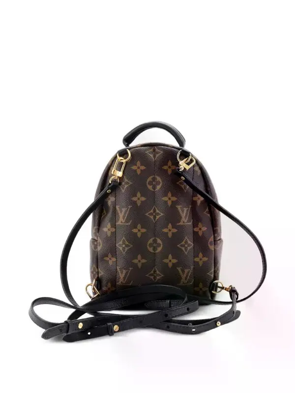 LOUIS VUITTON Palm Springs Monogram Canvas Mini Backpack - Brown