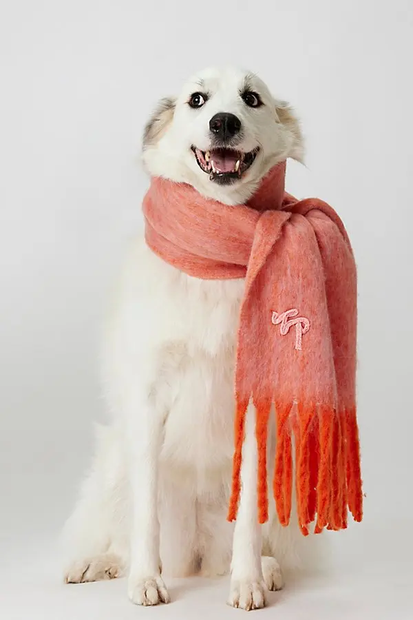 Free People Winter Chill Blanket Scarf At - Pink