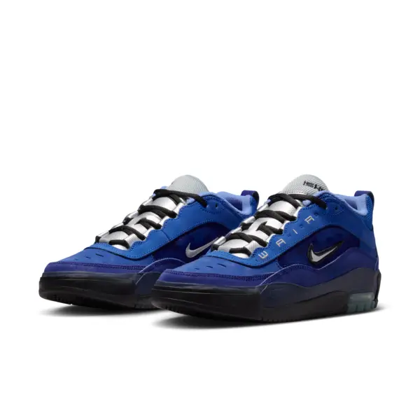 Nike Air Max Ishod Skate Shoes