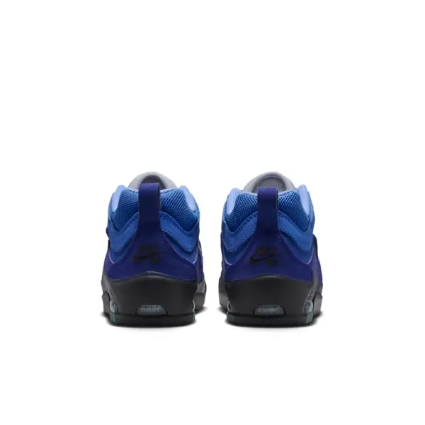 Nike Air Max Ishod Skate Shoes