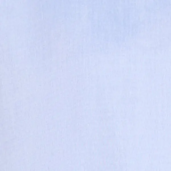 Max Mara Cotton Oxford Shirt