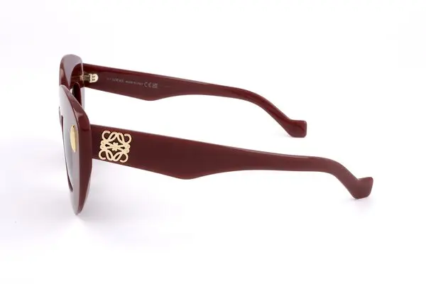 Loewe Full Frame Sunglasses