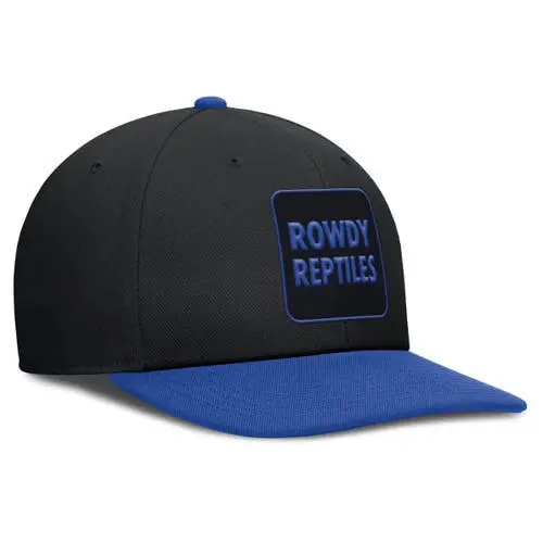JORDAN BRAND Royal Florida Gators 2025 Sideline Campus Pro Local Snapback Hat