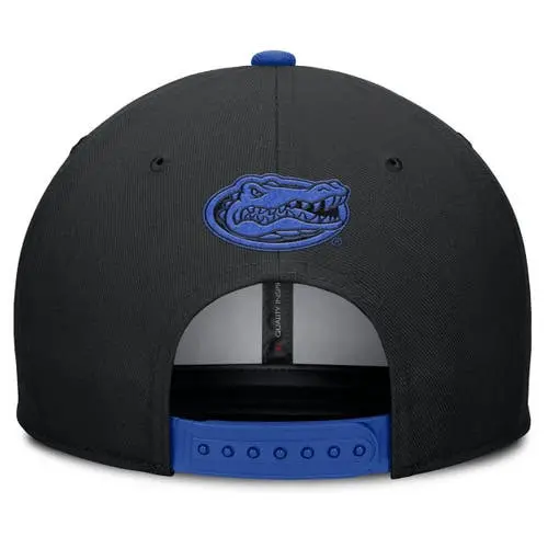 JORDAN BRAND Royal Florida Gators 2025 Sideline Campus Pro Local Snapback Hat