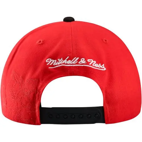 Mitchell & Ness Black Detroit Wings May Flowers Pro Crown Adjustable Hat
