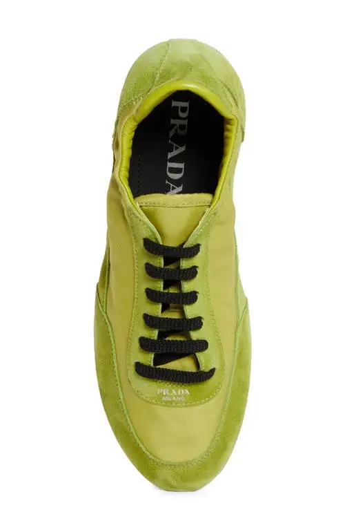 Prada Collapse Mixed Media Low Top Sneaker