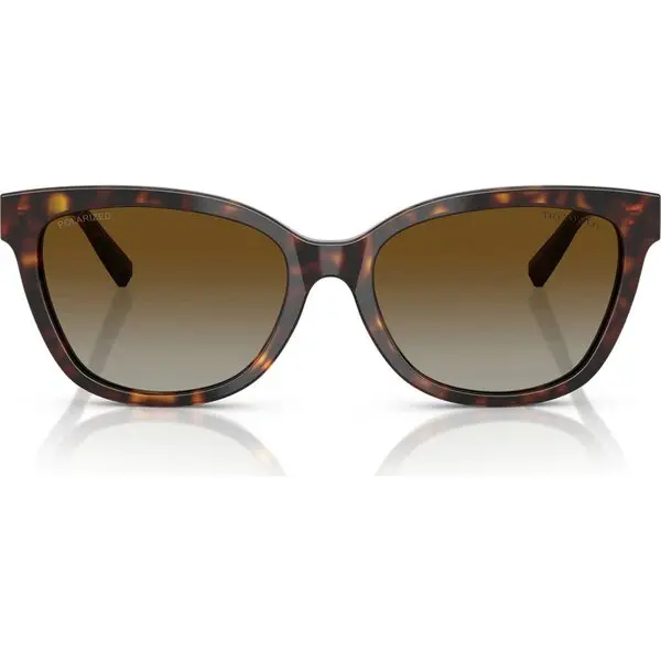 Tiffany & Co. 55mm Polarized Gradient Cat Eye Sunglasses - Havana/polar Brown Gradient