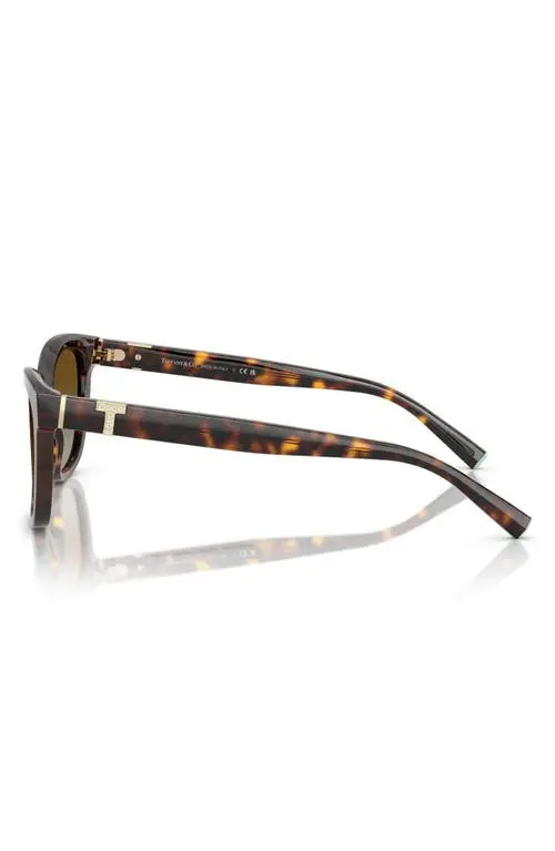 Tiffany & Co. 55mm Polarized Gradient Cat Eye Sunglasses