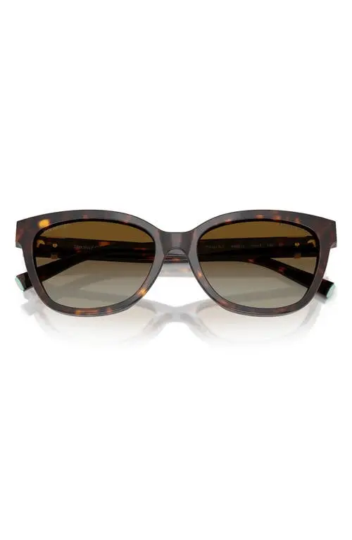 Tiffany & Co. 55mm Polarized Gradient Cat Eye Sunglasses