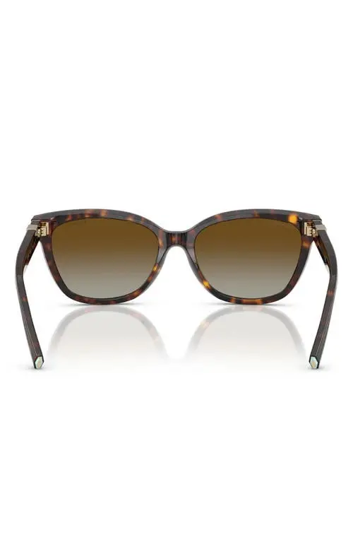 Tiffany & Co. 55mm Polarized Gradient Cat Eye Sunglasses