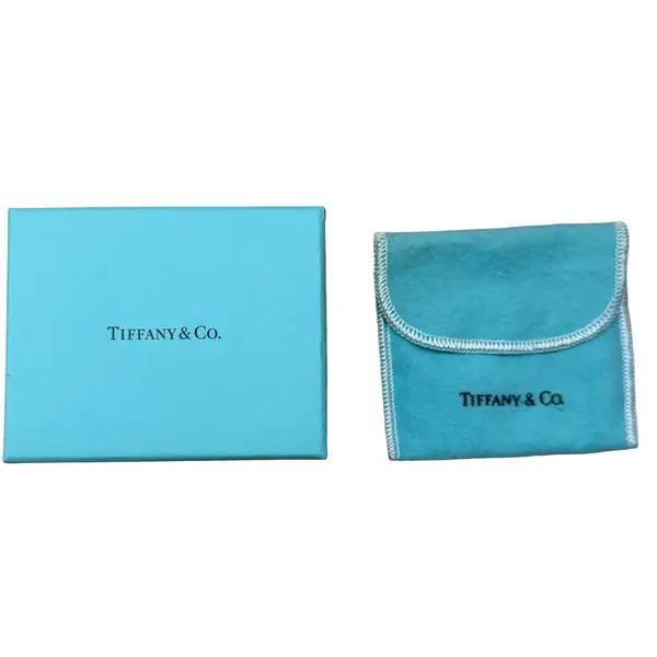 Tiffany & Co. Sterling Silver Atlas Pendant Necklace