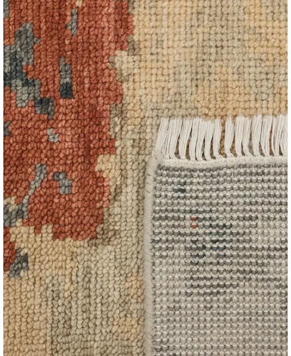 TIMELESS RUG DESIGNS Glasgow S3416 5'0x8'0 Area Rug