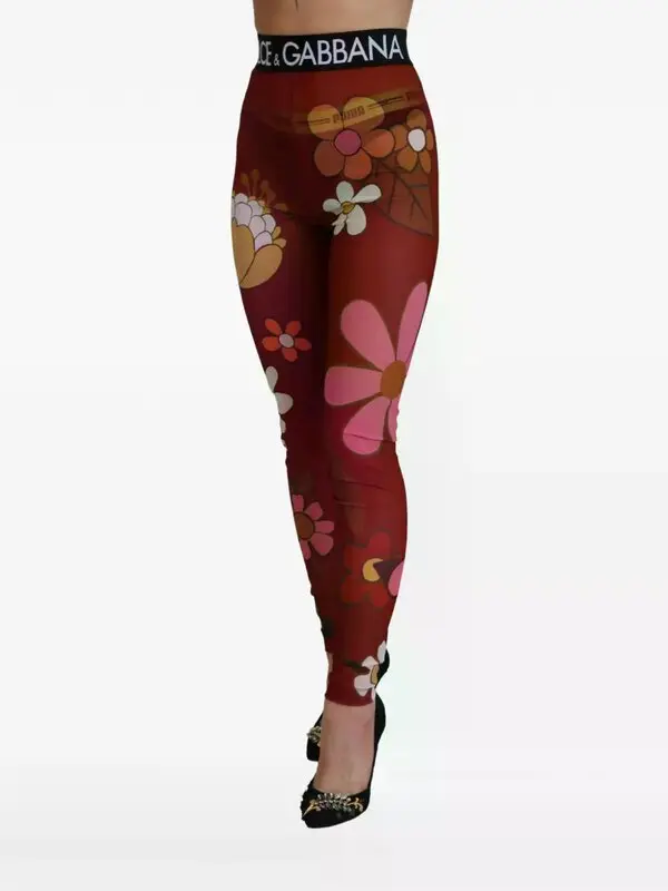 Dolce & Gabbana Floral-print Mesh Leggings - Red