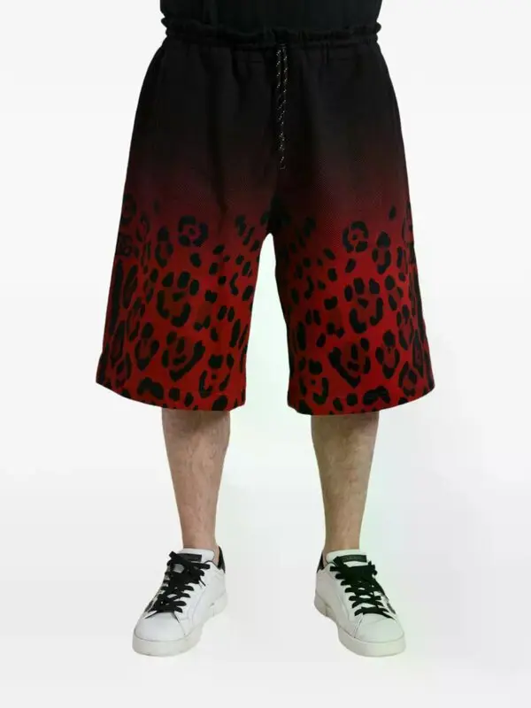Dolce & Gabbana Leopard-print Ombré Shorts