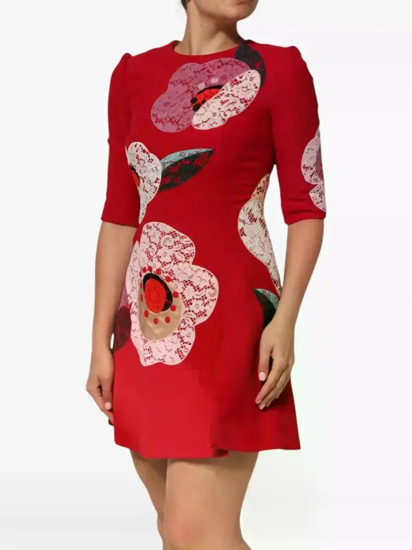 Dolce & Gabbana Lace Floral-applique Mini Dress