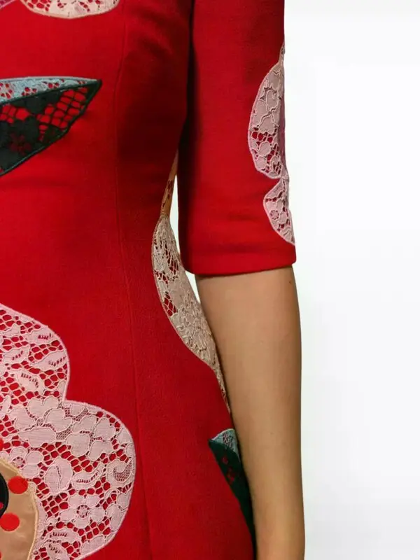 Dolce & Gabbana Lace Floral-applique Mini Dress