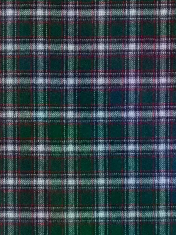 N°21 Tartan-pattern Fringed Scarf
