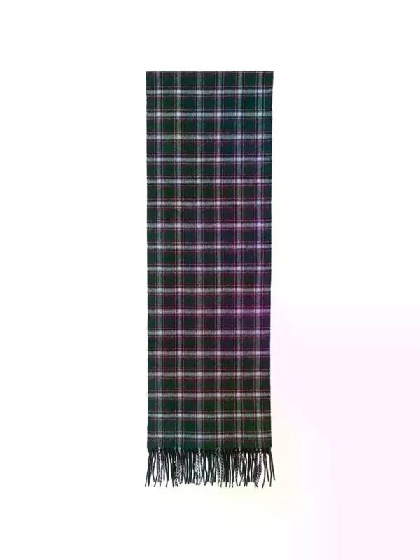N°21 Tartan-pattern Fringed Scarf - Green