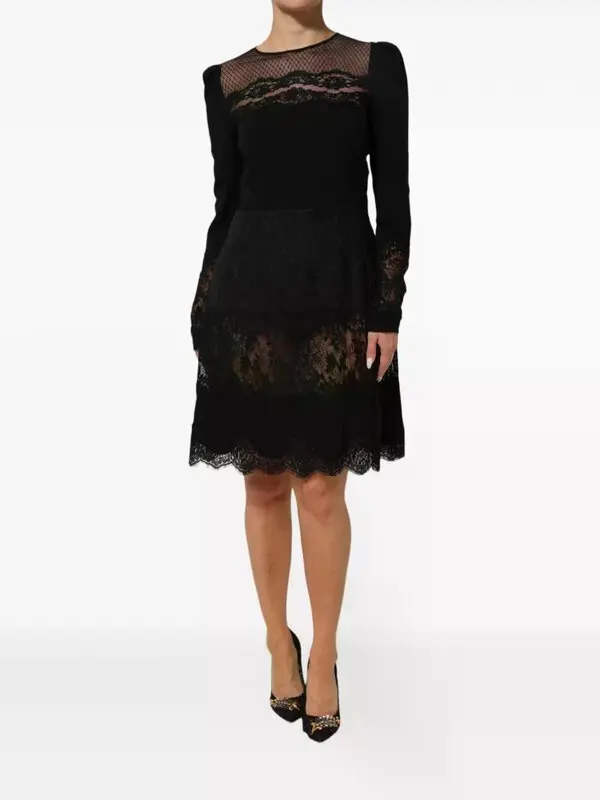 Dolce & Gabbana Floral-lace A-line Mini Dress