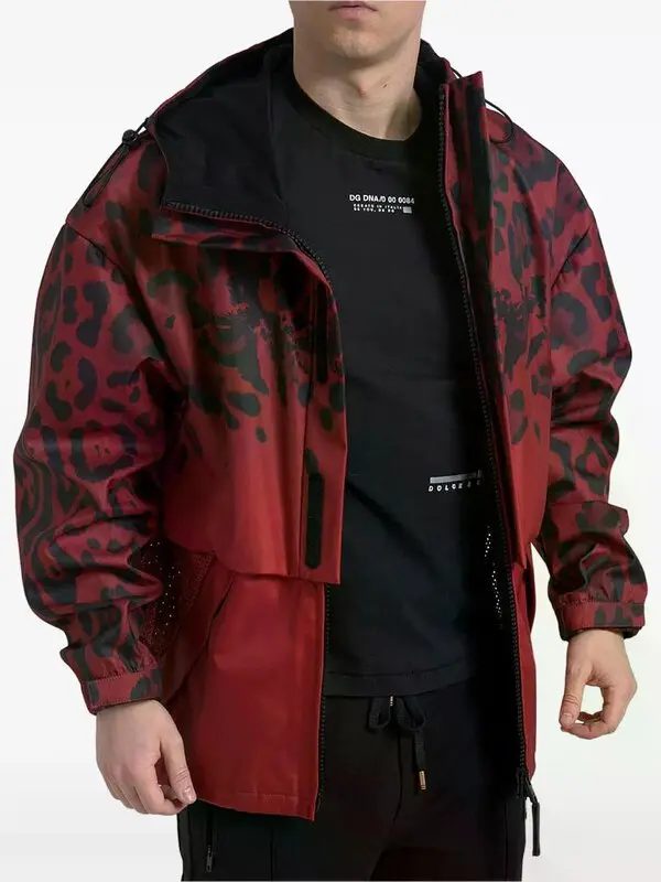 Dolce & Gabbana Leopard-print Tiger-eye Jacket